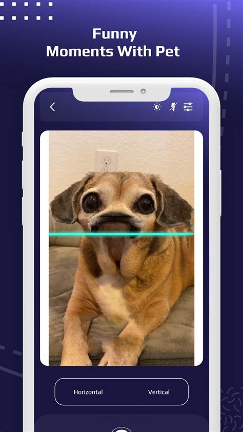 Image result for Time Warp Scan Pets