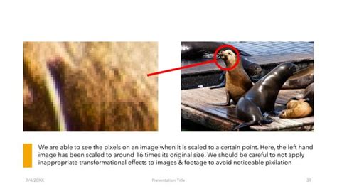 Image result for Video Editing Tutorial for Beginners PPT