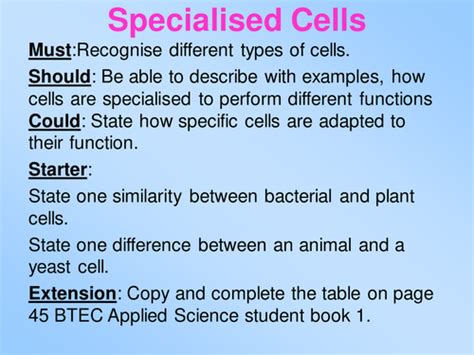 Image result for BTEC Applied Science Muscle Cell