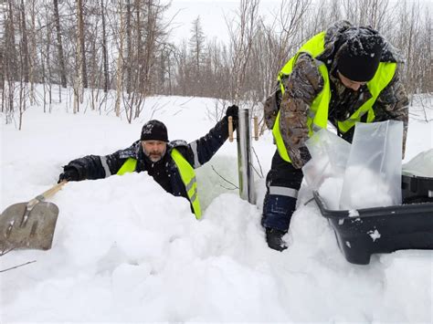 Image result for Snow Sampling