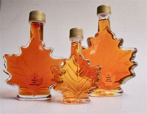 Image result for Maple Syrup Tree Leaf