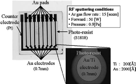 Image result for Microarray Chip
