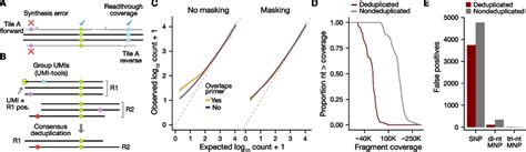 Image result for Grammar Correction Data Preprocessing