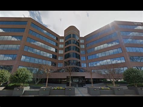 Image result for Primavera Training