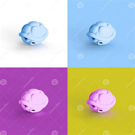 Image result for Turtle Shell Color