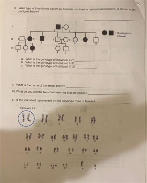 Image result for Gene Pathway Genetics Questions