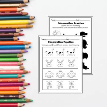 Image result for Observation Practice