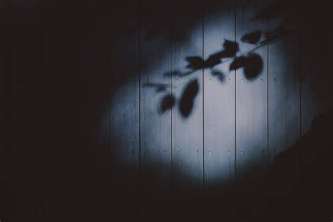 Image result for The Shadow S Bride