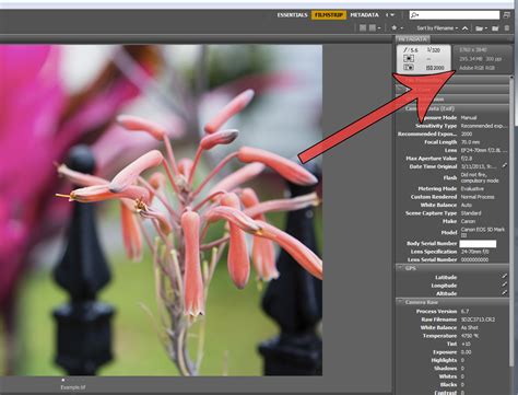 Image result for Bridge CS6 Tutorial