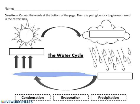 Water Cycle online activity | Live Worksheets - Worksheets Library