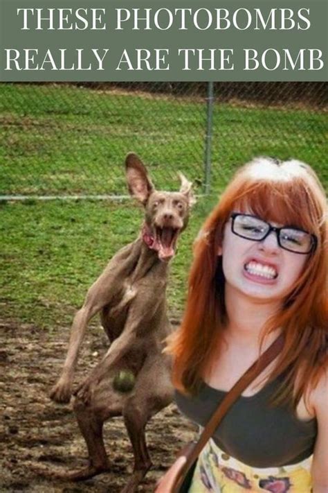 Image result for Awkward Spring Break