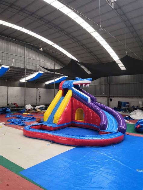 Image result for Inflatable Slide for Inground Pool