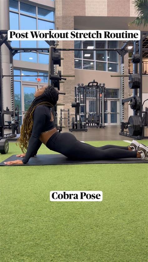 Image result for Pre-Workout Stretch Routine