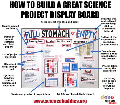 Image result for 3rd Grade Science Project Display