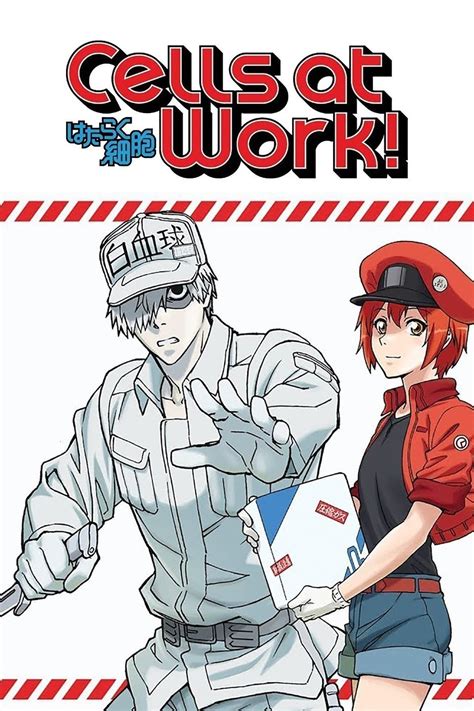 Image result for Cells at Work Net TV
