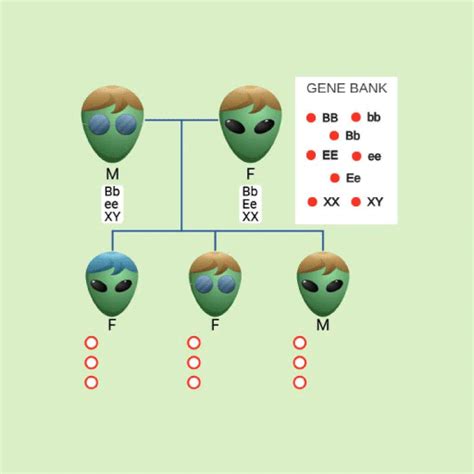 Image result for Variation Science
