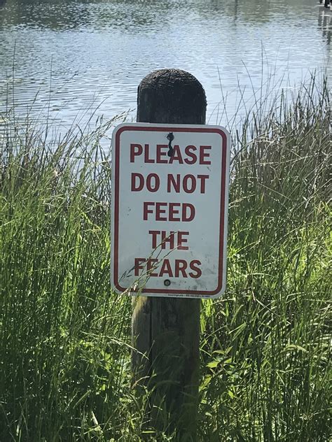 Image result for Cursed Stop Sign