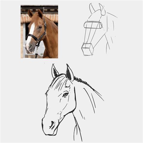 Image result for Drawing Practiced