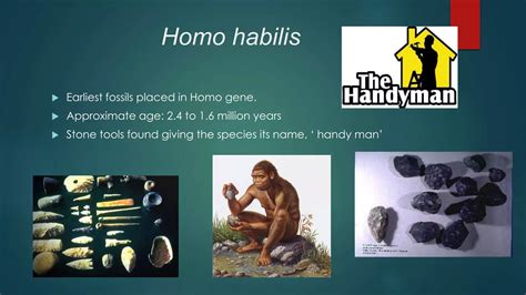 Image result for jTDS Life Science Evolution