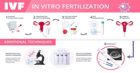 Image result for How Is IVF Done