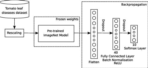 Image result for Image Net Pre-Trained Model