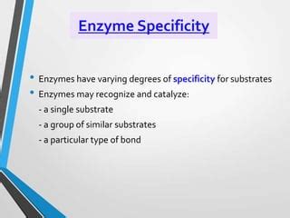 Image result for Exercise 1 Enzyme Specificity