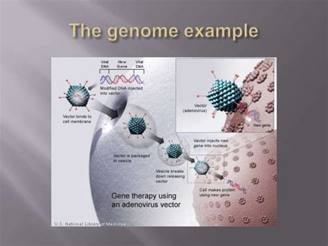 Image result for Life Science Over View Grade 12