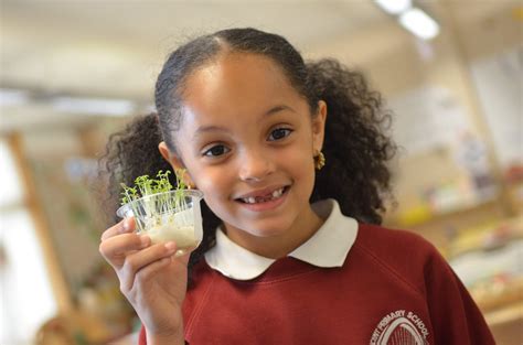 Image result for Video Interaction Guidance Reflective Questions