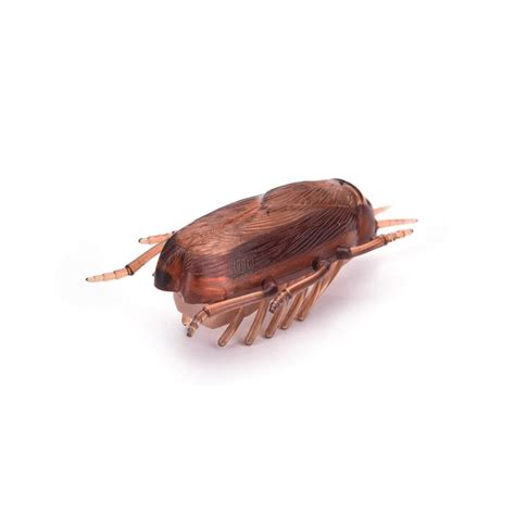 Image result for Cockroach Toy