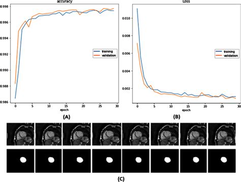 Image result for Training Accuracy Image Net