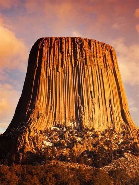 Image result for Is Devils Tower a Tree