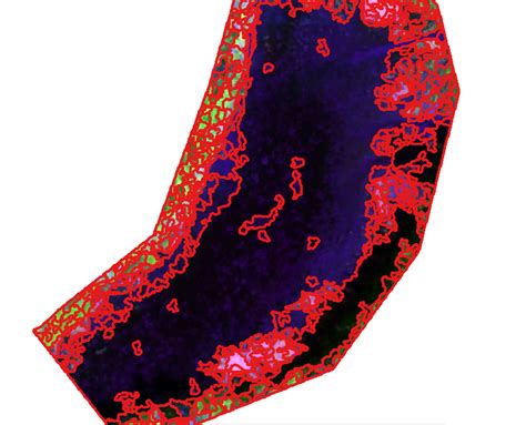 Image result for Australia Postcode GeoJSON Shapefile