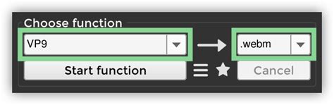 Image result for Shutter Encoder WebM With Alpha