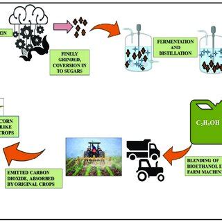 Image result for Bioethanol Production Process