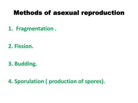 Image result for Fungus Reproduction