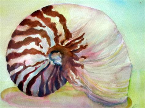 Nautilus Shell Painting at PaintingValley.com | Explore collection of ...