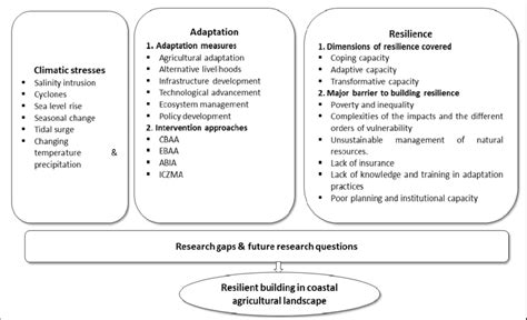 Image result for Review Study