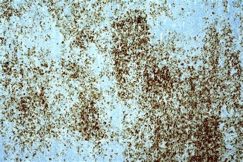 Image result for Rust Paint Texture