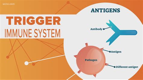 Image result for Creating Vaccines