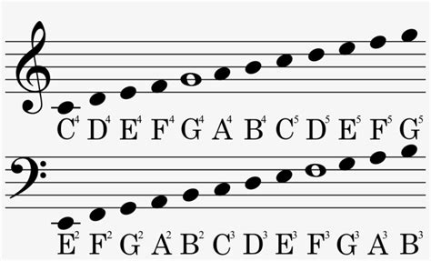 Image result for Bass Clef Notes