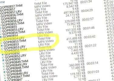 Image result for How to Tag LRV Files