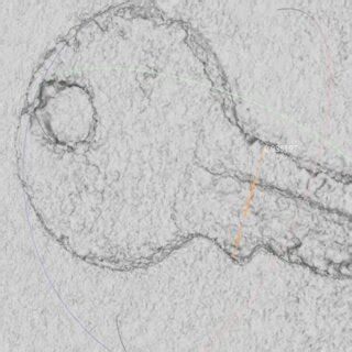 Image result for KeyCode Measuring