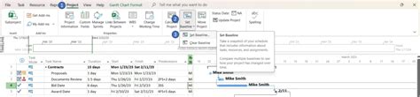 Image result for Microsoft Project Schedule Example