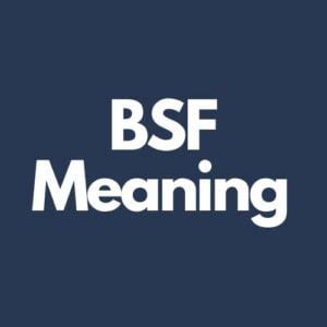Image result for BSF Notes