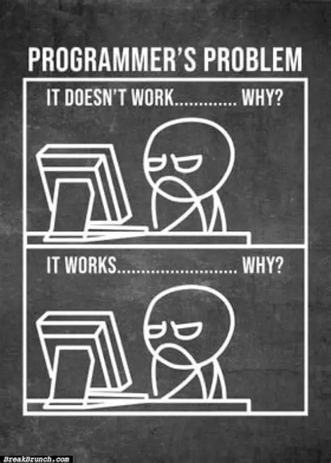 Image result for Programmer Paradox