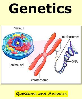 Image result for Genetics Short Answer Questions and Answers