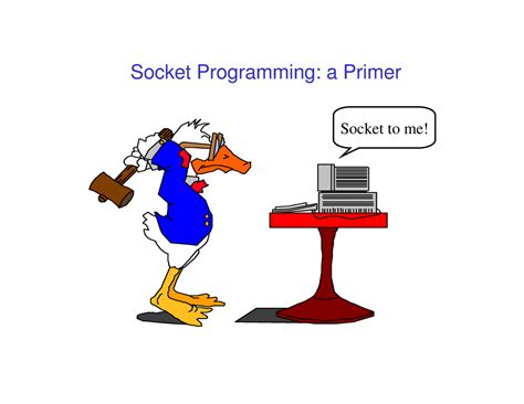 Image result for Duck Smashing Computer