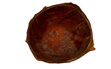 Image result for Coconut Shell Models