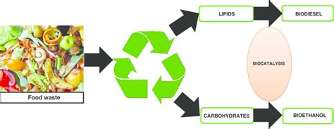 Image result for Food Waste Bioethanol