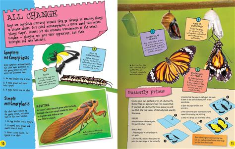 Image result for Project Science Insects Book Cover